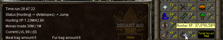 👑Dreamy Hunting👑| Restocking | Task system | All birds | Chinchompas ...